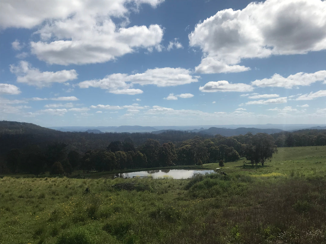 Our Story – Widden Brook Farm