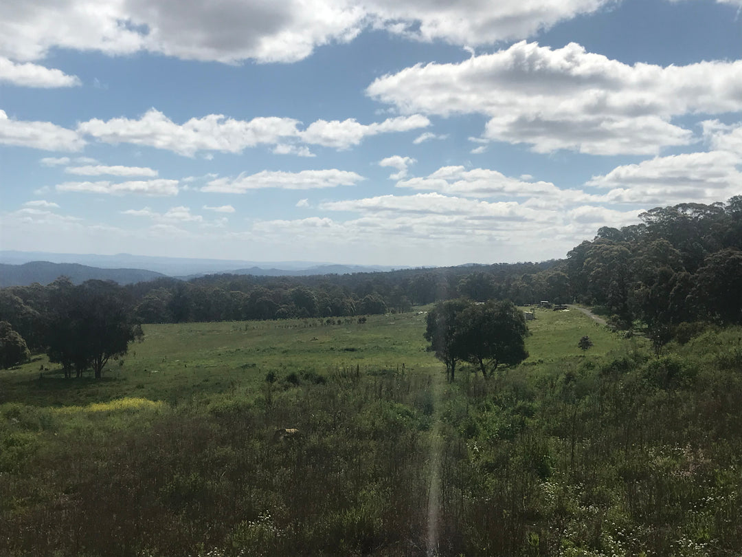 Our Story – Widden Brook Farm